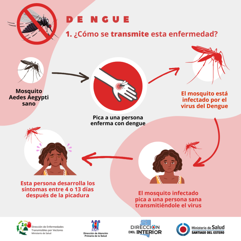 Dengue, Zika y Chikungunya - Ministerio de Salud de Santiago del Estero